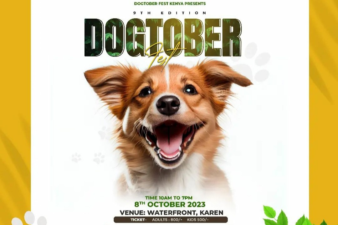 Celebrating Our Food, Our Oceans, a Fun Dogtober Fest and More - Kids ...